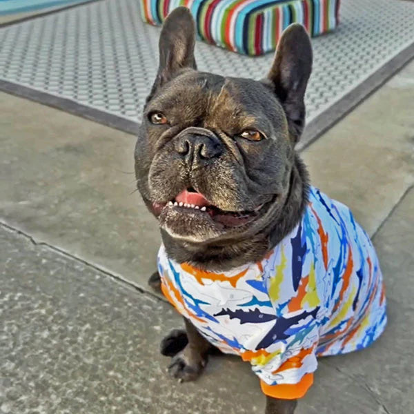 Dog Cotton Shirts | Stylish Pet Apparel – Louie de Coton